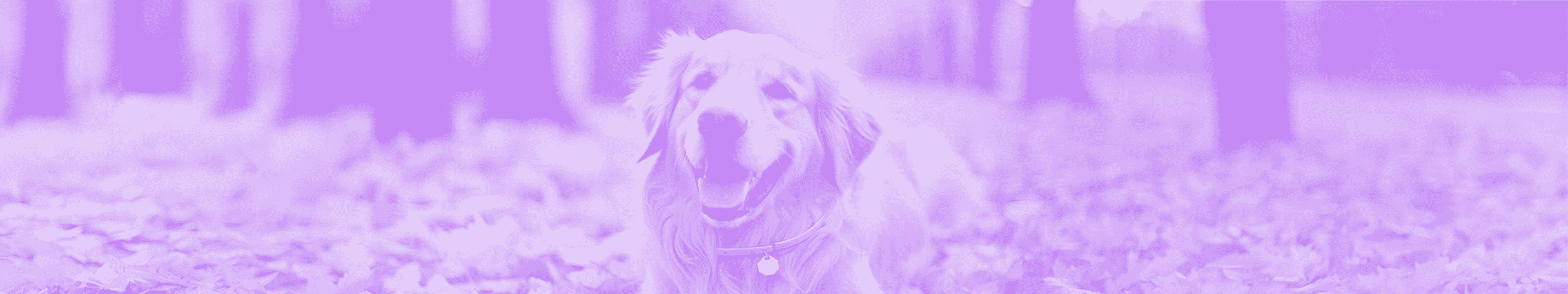 Pet Industry Careers | Independence Pet Holdings